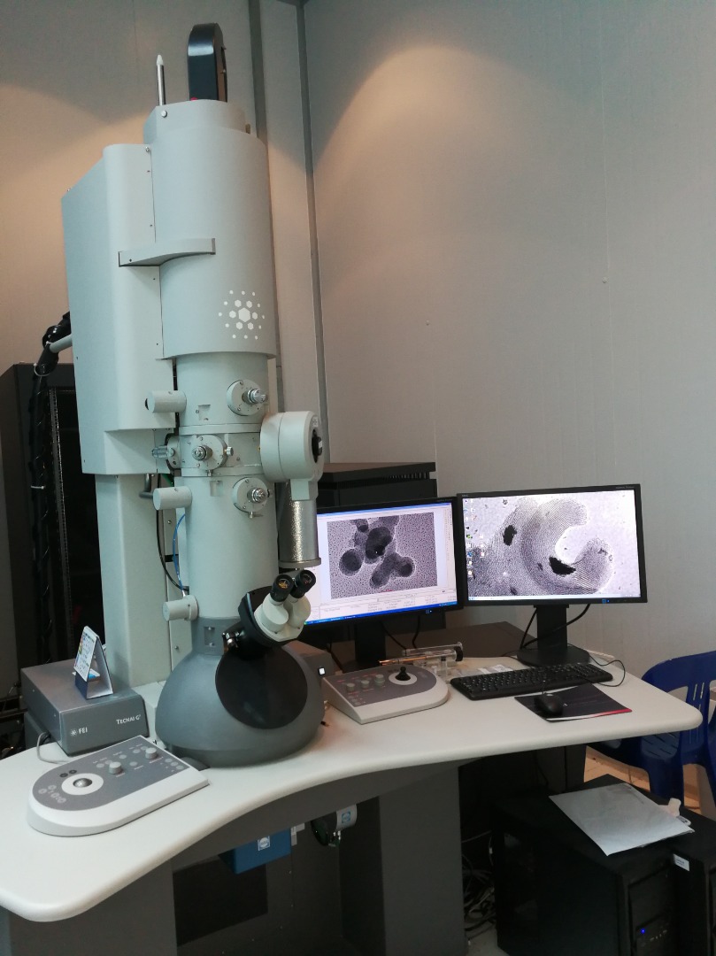 Cryo-Transmission Electron Microscopy: A Reliable Technique or Just ...